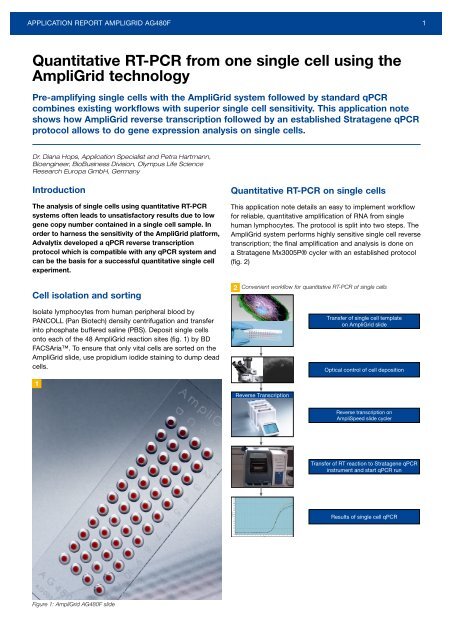 Quantitative RT-PCR from one single cell using the AmpliGrid ...