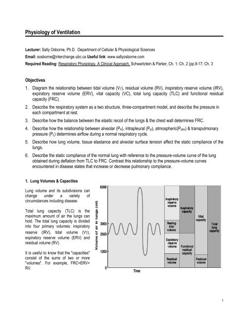 Physiology of Ventilation - Index for main page