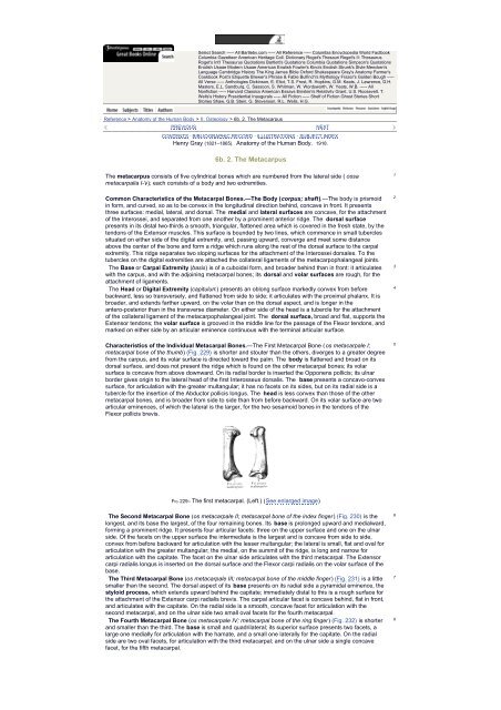 The Lesser Multangular Bo