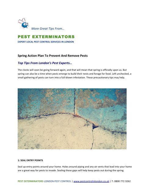 Spring Action Plan To Prevent And Remove Pests