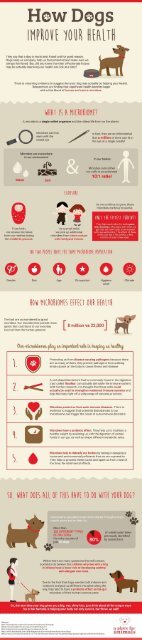 How Dogs Improve Your Health