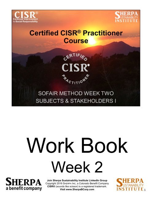 CISR Stakeholders and Subjects Week 2 Workbook