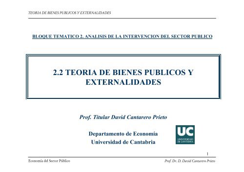 teoria de los bienes publicos y externalidades.