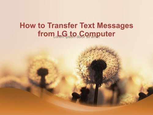 How to Transfer Text Messages from LG to Computer