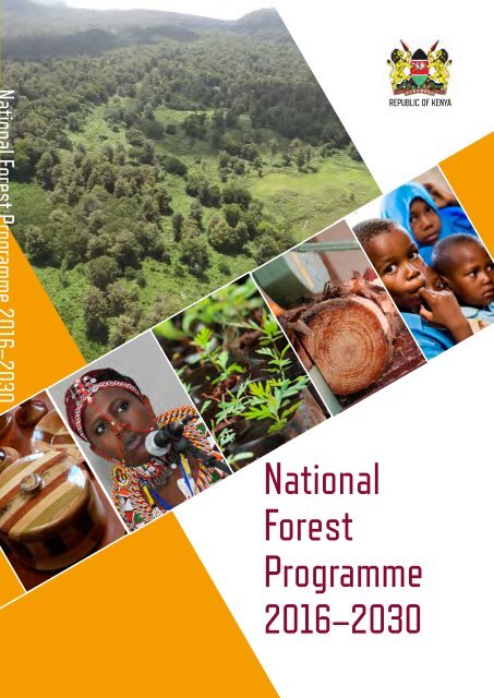 National Forest Programme