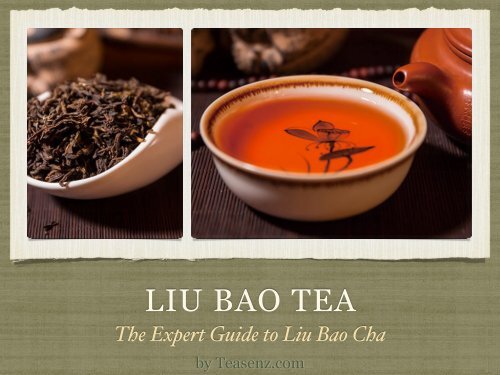 Liu Bao Tea: The Expert Guide to Liu Bao Cha