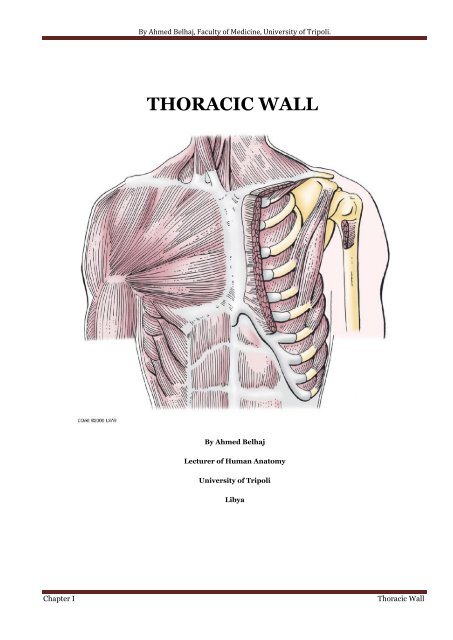 Thoracic Wall