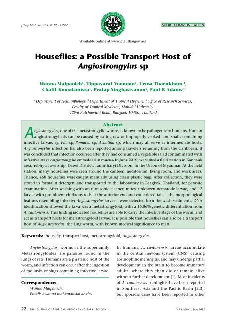 Houseflies: a Possible Transport Host of Angiostrongylus sp
