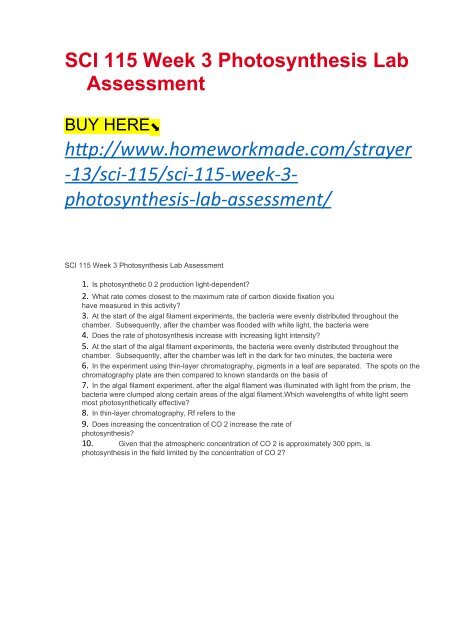 SCI 115 Week 3 Photosynthesis Lab Assessment
