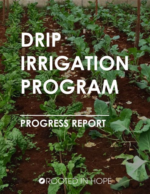 Drip Progress Report