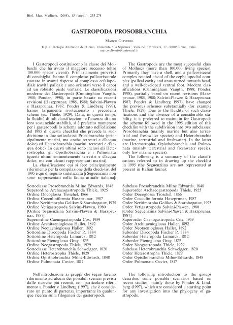 GASTROPODA PROSOBRANCHIA - SIBM