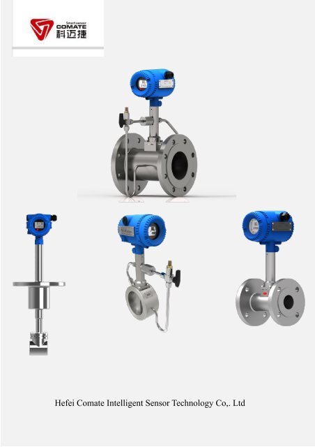 Vortex type flow meter-VFM60-Hefei Comate