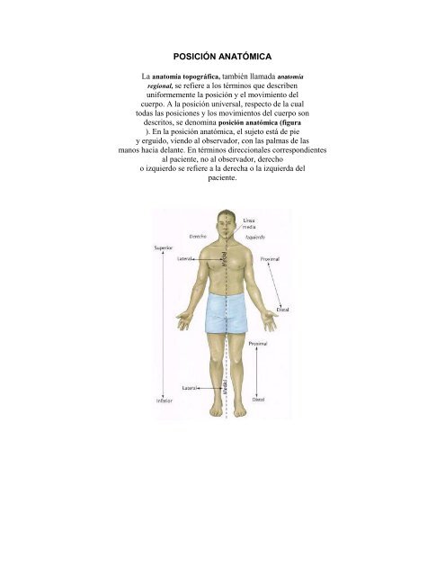 POSICIÓN ANATÓMICA
