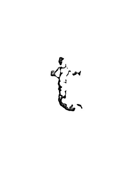 typophoto