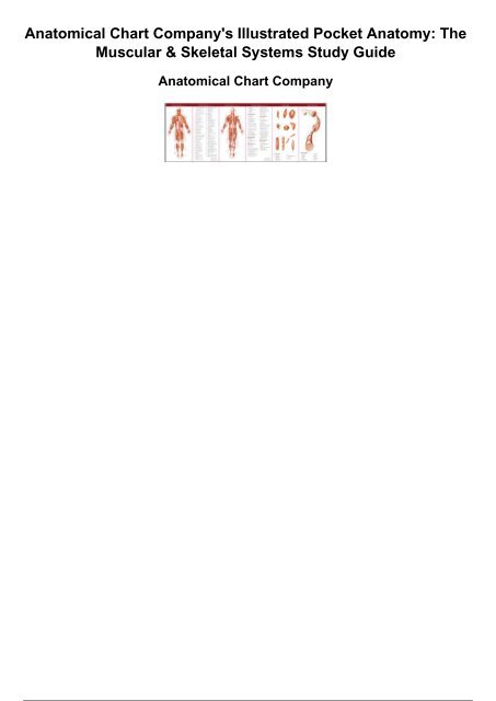 anatomical chart companys illustrated pocket anatomy the muscular and ...