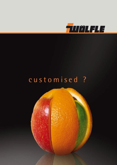 Control systems - Woelfle Gmbh