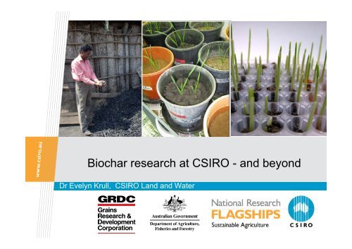 Biochar research at CSIRO - and beyond - CSIRO Land and Water
