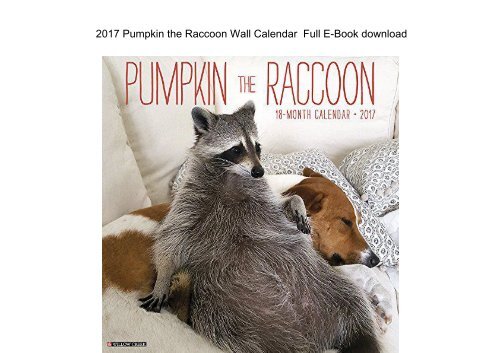 2017 Pumpkin the Raccoon