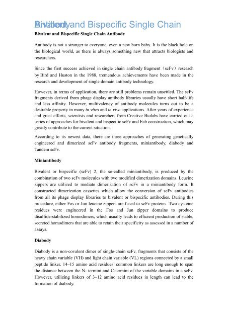Bivalent and Bispecific Single Chain Antibody