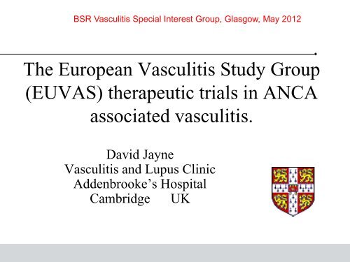 The European Vasculitis Study Group (EUVAS) therapeutic trials in ...