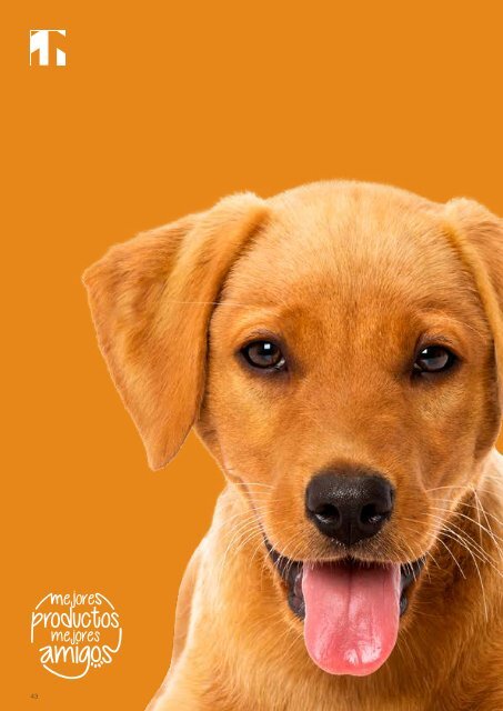 HALATAL KT ® FÁRMACOS 4