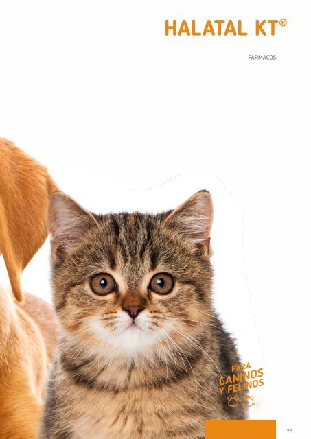 HALATAL KT ® FÁRMACOS 4