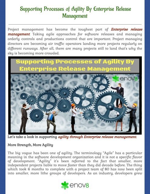 Supporting Processes of Agility By Enterprise Release Management
