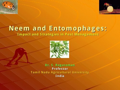 Neem Vs Entomophagous Insects
