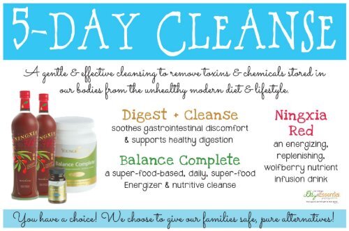 5 Day Cleanse