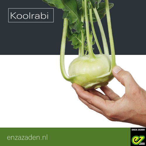 Leaflet Koolrabi 2024
