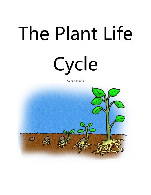 The Plant Life Cycle