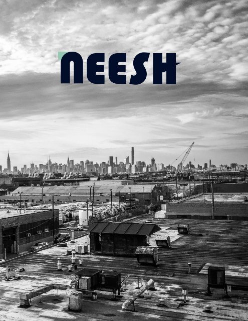 Neesh Magazine No. 1 (Spring 2017)