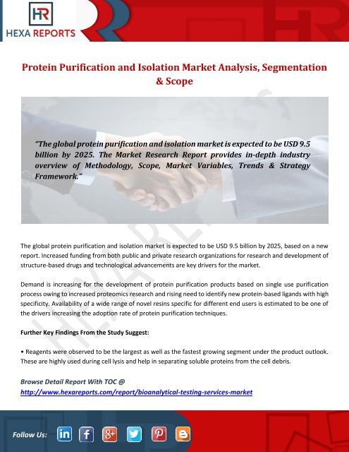 Protein Purification and Isolation Market Analysis, Segmentation & Scope