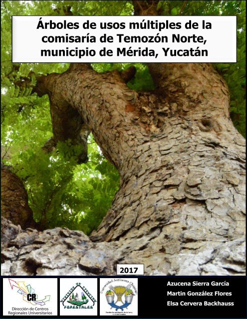 RBOLES DE TEMOZON NORTE