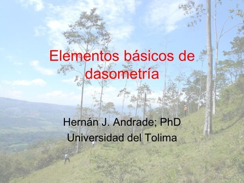 1. Dasometria