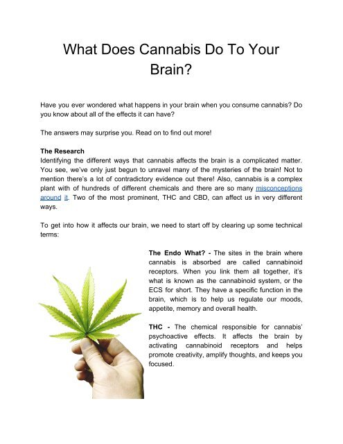 What Does Cannabis Do To Your Brain