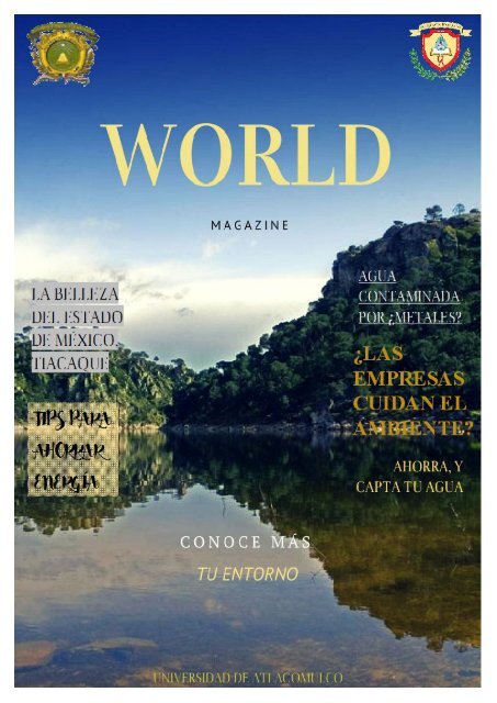 REVISTA DIGITAL WORLD MAGAZINE1