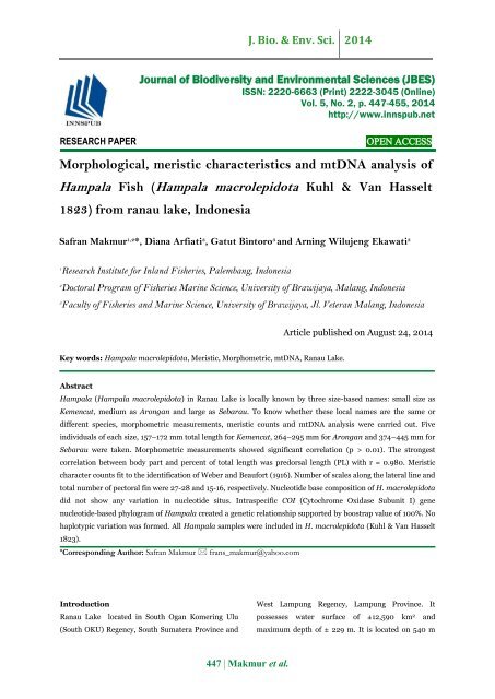 Morphological, meristic characteristics and mtDNA analysis of Hampala ...