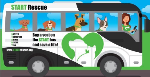 START Rescue Brochure