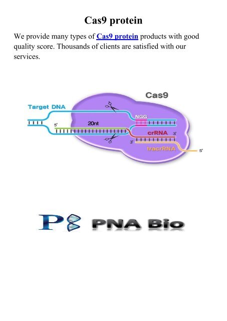CRISPR Cas9