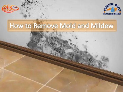 How to Remove Mold and Mildew