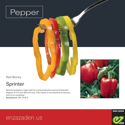 Leaflet Blocky Pepper