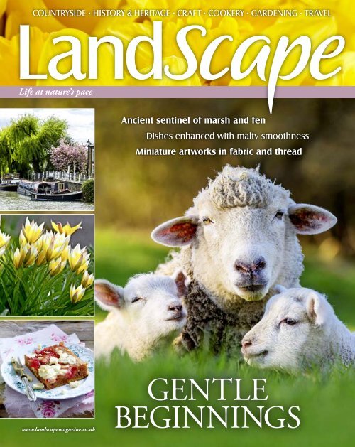 LandScape FREE Digital Sampler