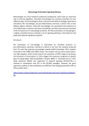 ROS1 Signaling Pathway