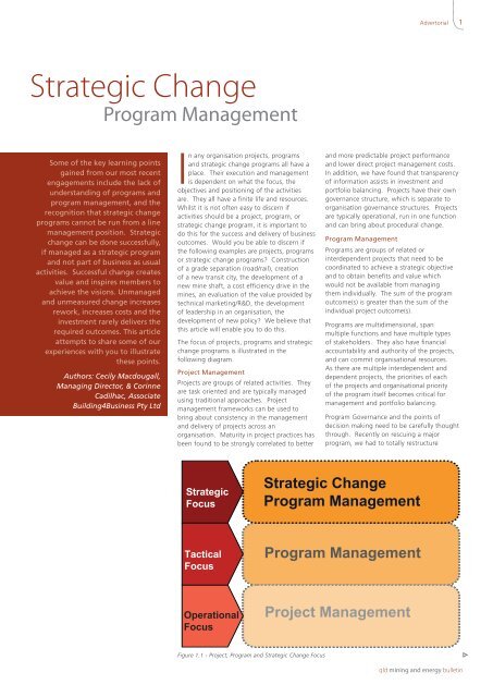 Strategic Change - Program Management