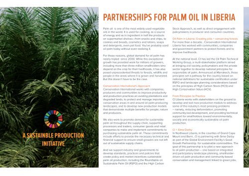 Palm Oil Production In Liberia