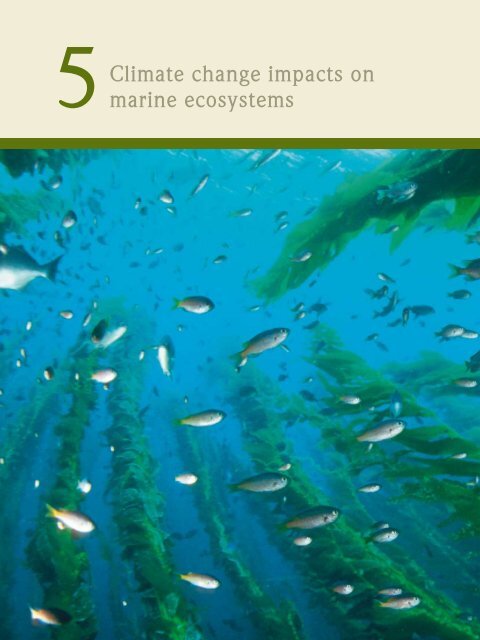 Climate change impacts on marine ecosystems - World Ocean Review