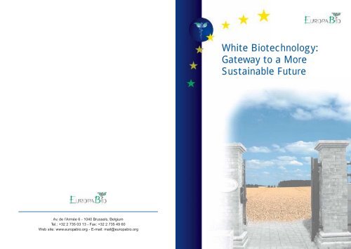 White Biotechnology: Gateway to a More Sustainable ... - Bio-Economy