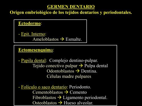 DESARROLLO EMBRIOLÓGICO