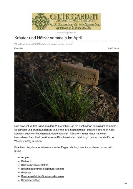 Kräuter und Hölzer sammeln im April